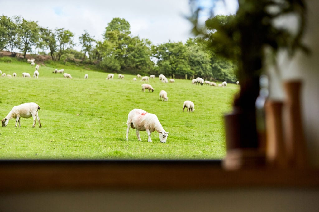 Local Area - The Burrows