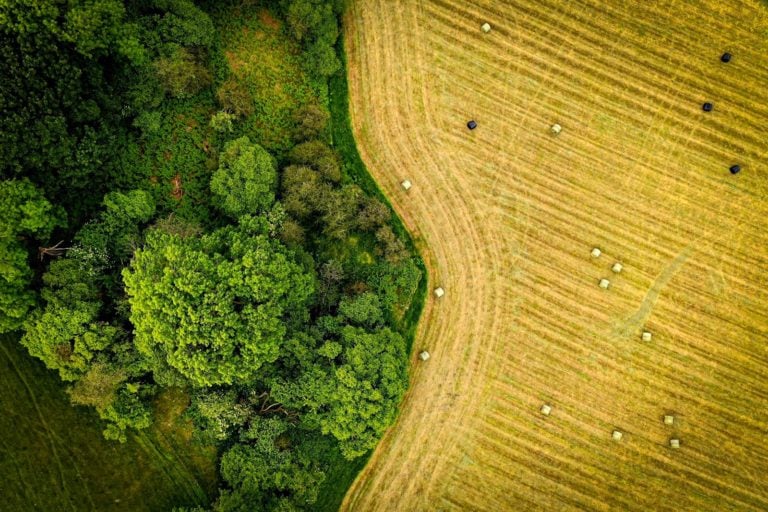 The Burrow, Dolassey - Luxury hobbitries hidden in the Welsh hills